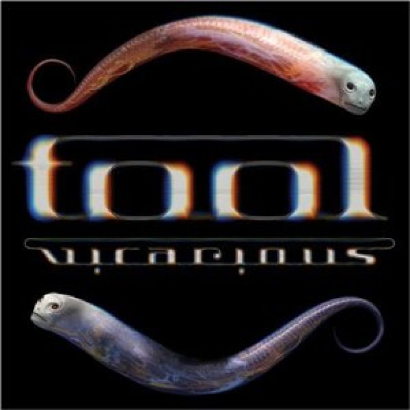 Tool - Vicarious [DVD] - hitparade.ch